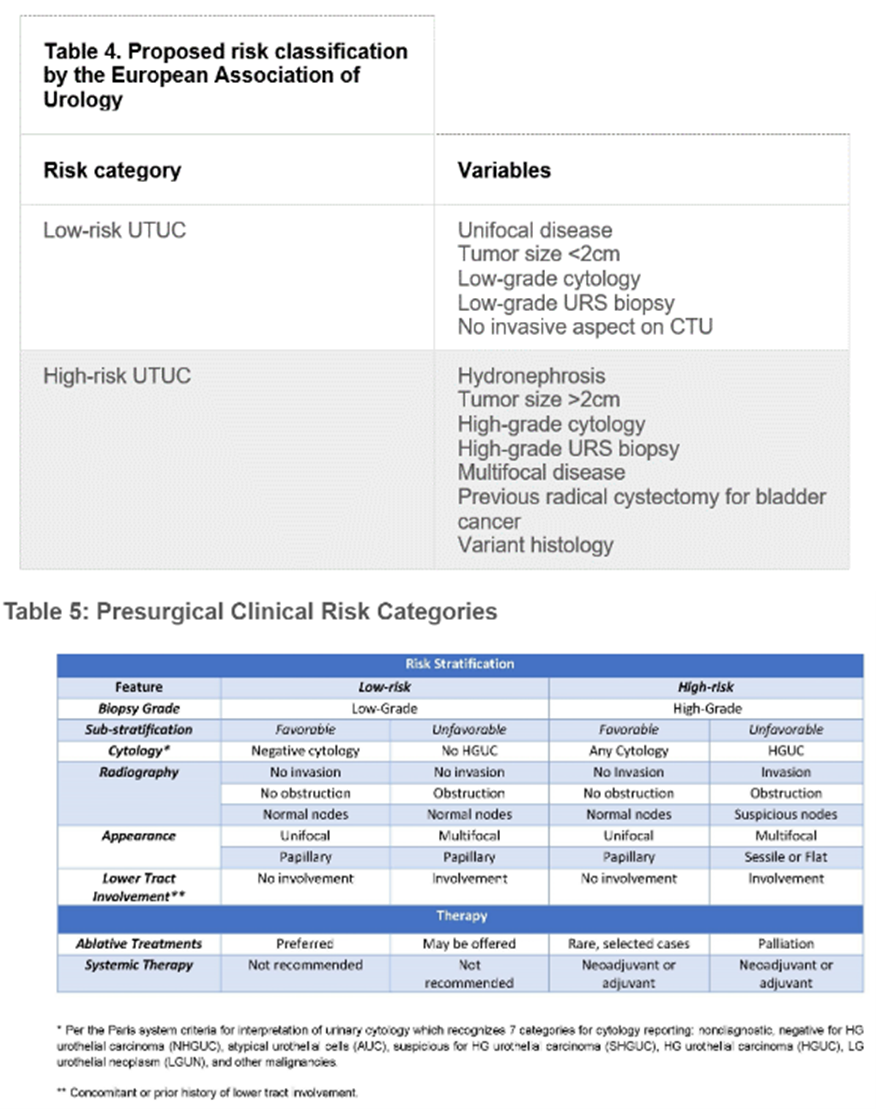Medical Student Curriculum: Upper Tract Urothelial Carcinoma - American Urological Association